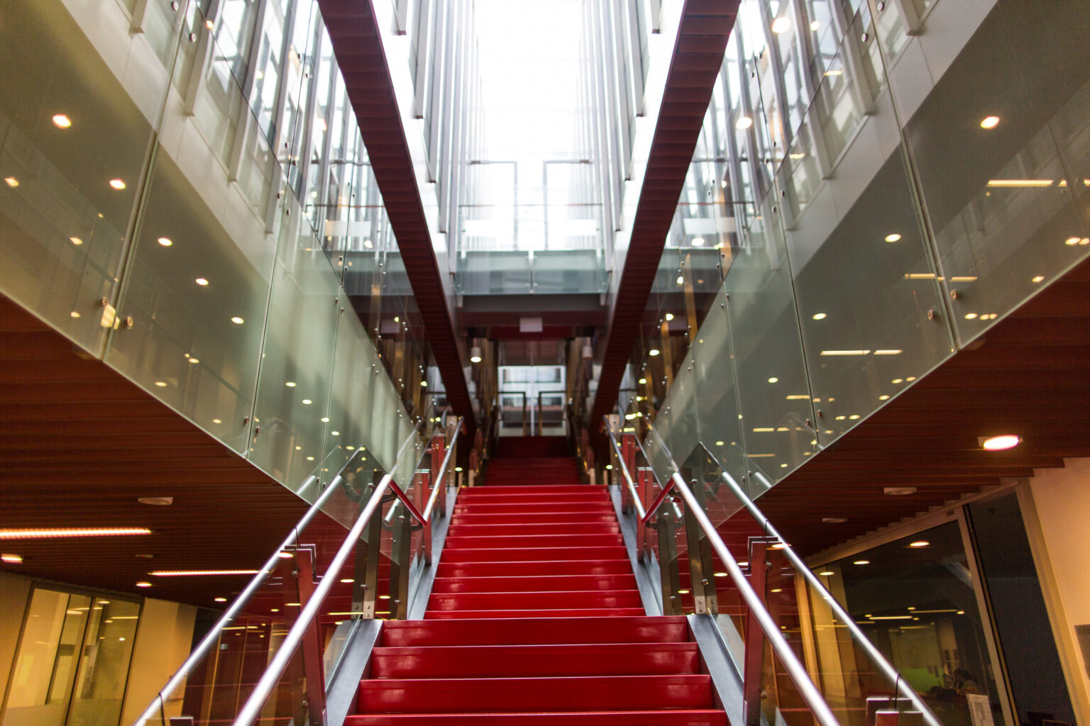 RMIT University - Mott Visuals